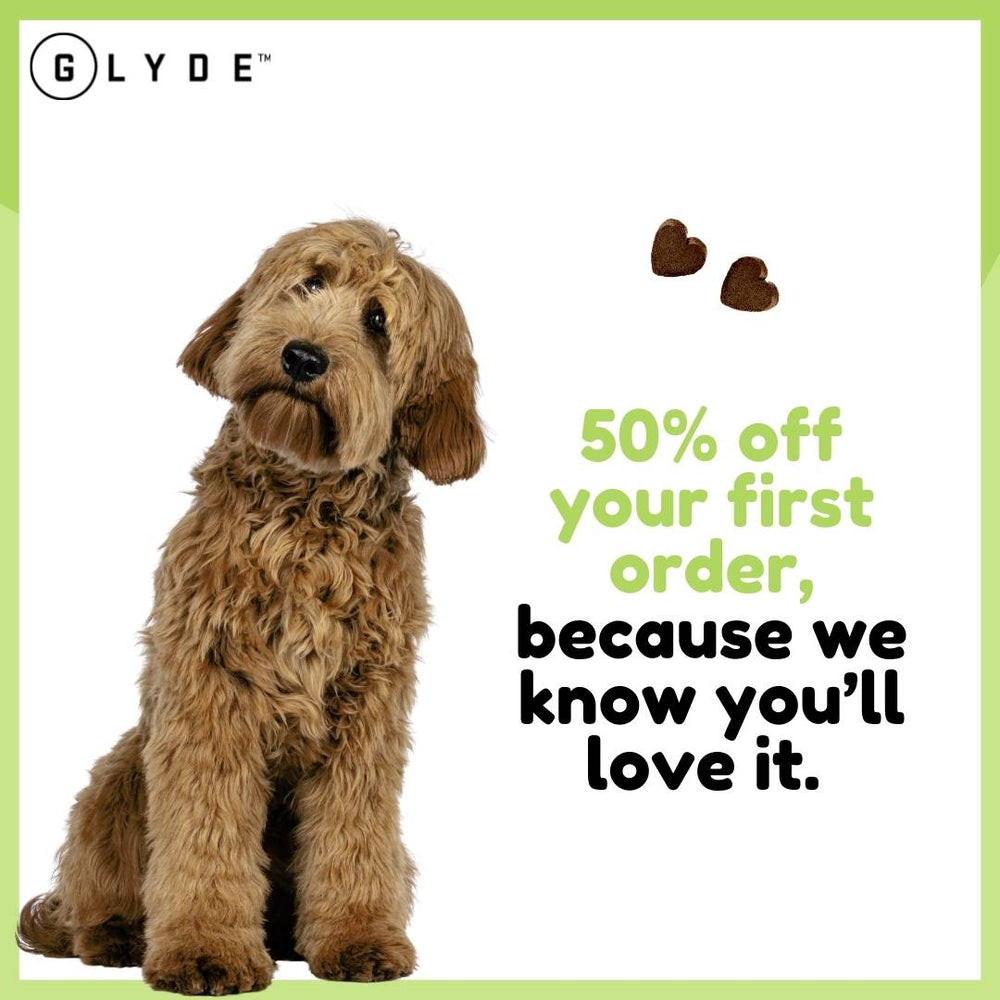 Dog Hip and Joint Supplements | Glyde Mobility Chews