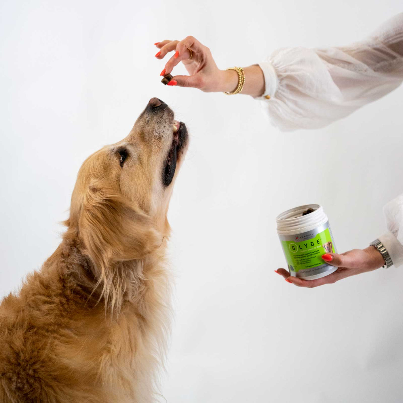 Dog Hip and Joint Supplements | Glyde Mobility Chews